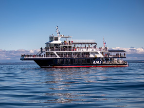 AML Cruises: Whales, Restaurant & Unique Excursions