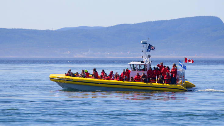 Zodiac Whale Watching 2-hour Adventure Tour in Tadoussac | AML Cruises